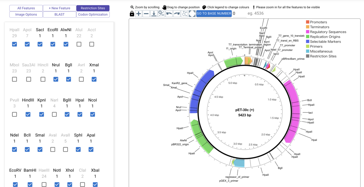 出版品質のプラスミドマップを生成、編集、注釈、視覚化するためのウェブサーバー PlasMapper 3.0 - macでインフォマティクス