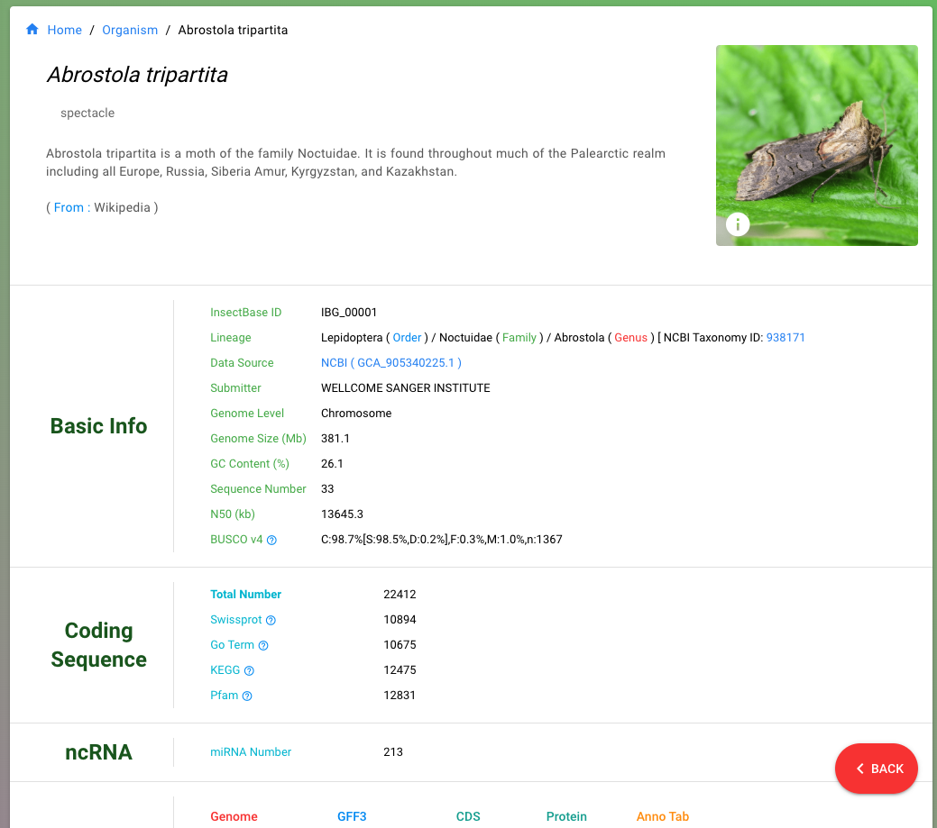 昆虫の包括的遺伝子リソース InsectBase 2.0 - macでインフォマティクス