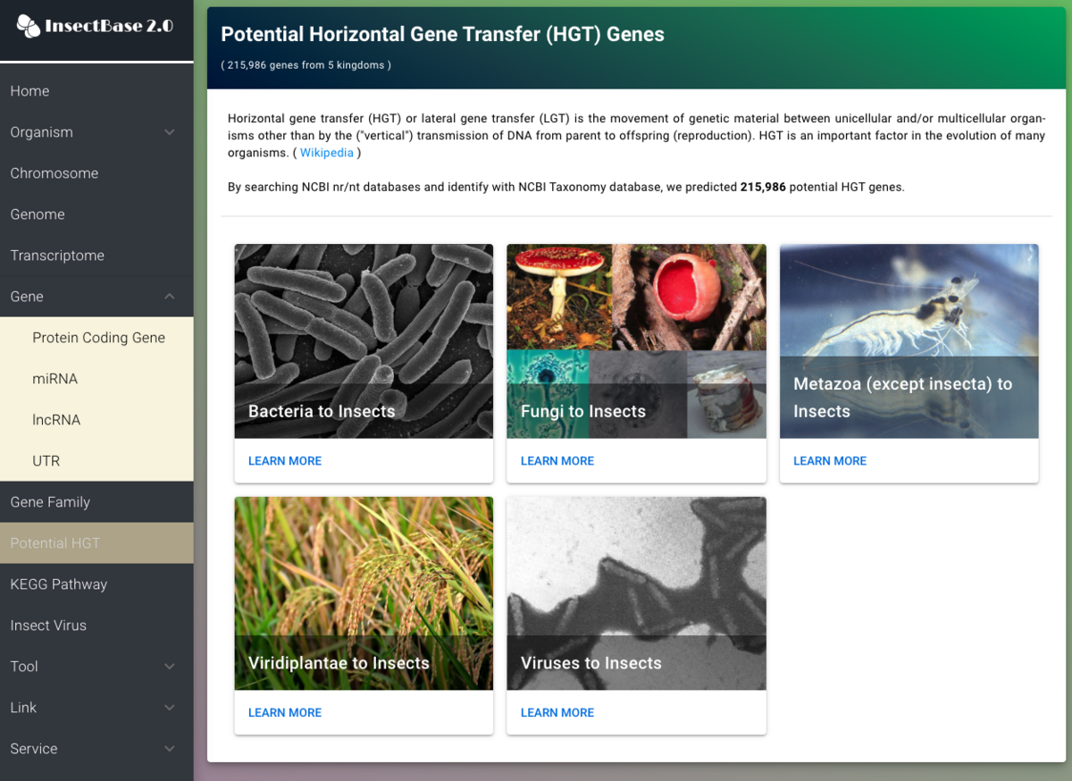 昆虫の包括的遺伝子リソース InsectBase 2.0 - macでインフォマティクス