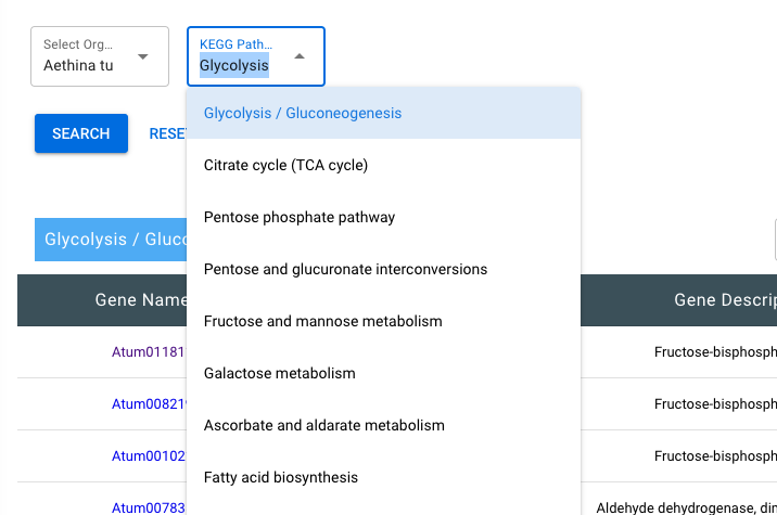 昆虫の包括的遺伝子リソース InsectBase 2.0 - macでインフォマティクス