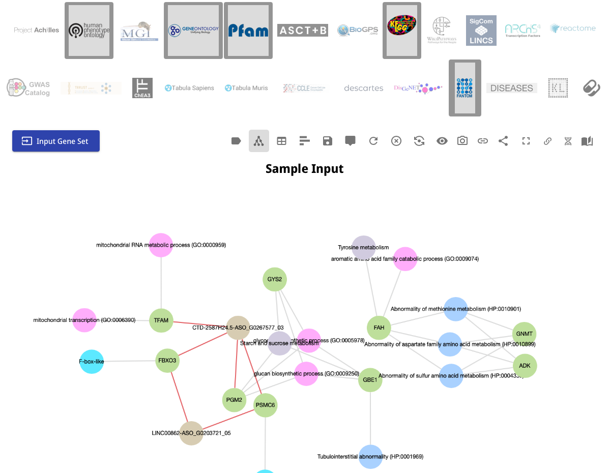 複数のライブラリにまたがるエンリッチメント解析を行う Enrichr-KG - macでインフォマティクス