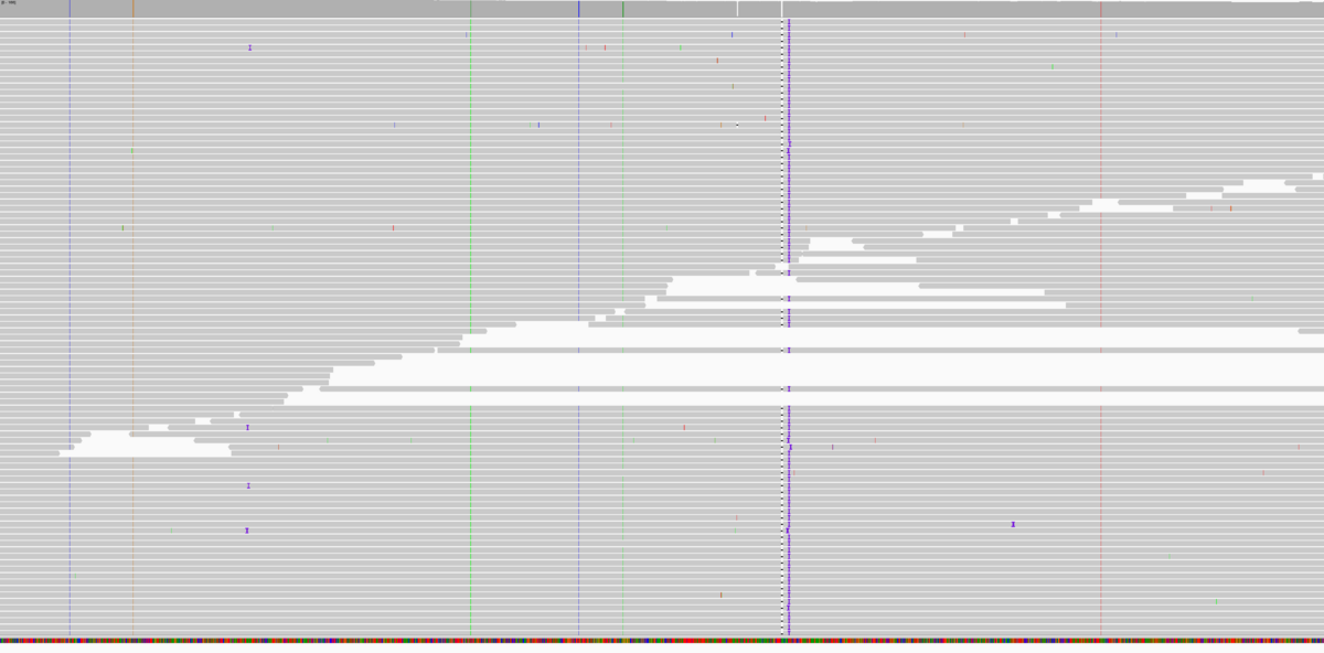 IGVのtips 4 - macでインフォマティクス