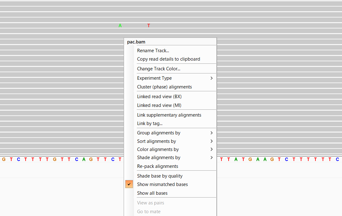 IGVのtips 4 - macでインフォマティクス