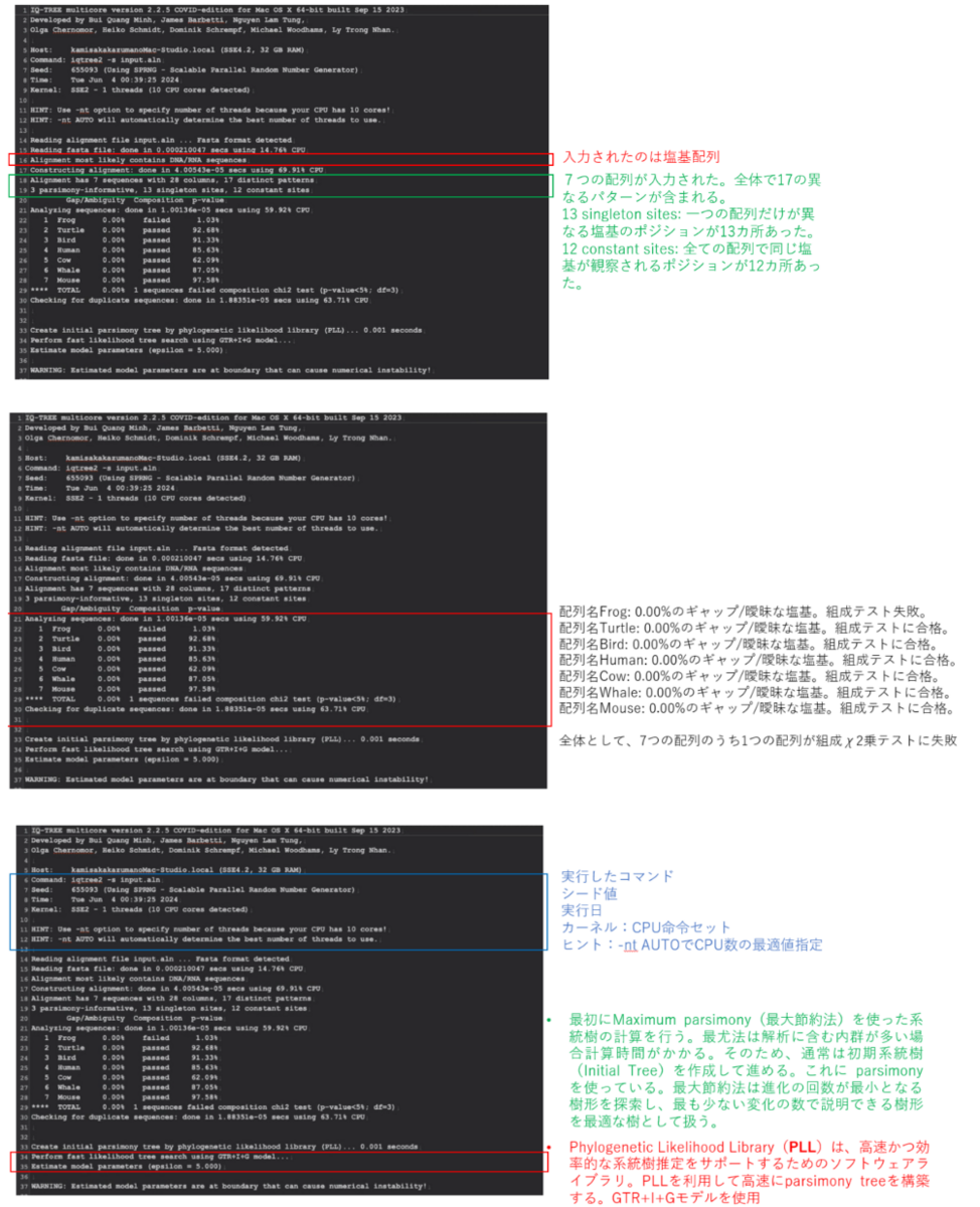 IQ-TREE 2 - macでインフォマティクス