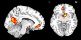Neuralism（by 奥田一貴）