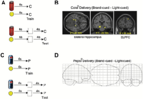 Neuralism（by 奥田一貴）