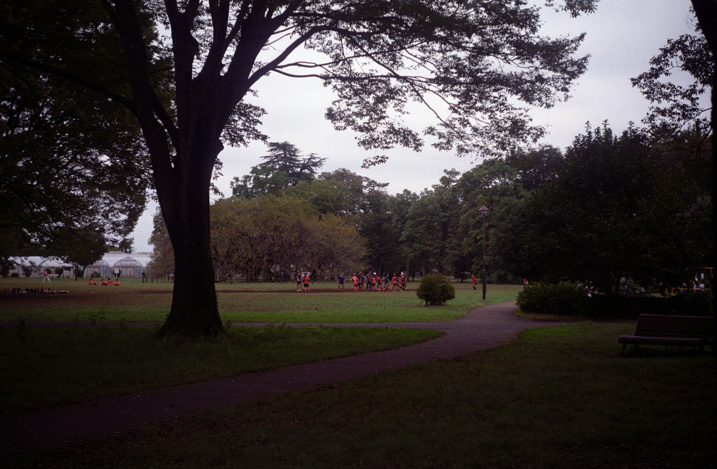 個別「20241011011617」の写真、画像 - 202410_秋の始まり - kei_arika's fotolife