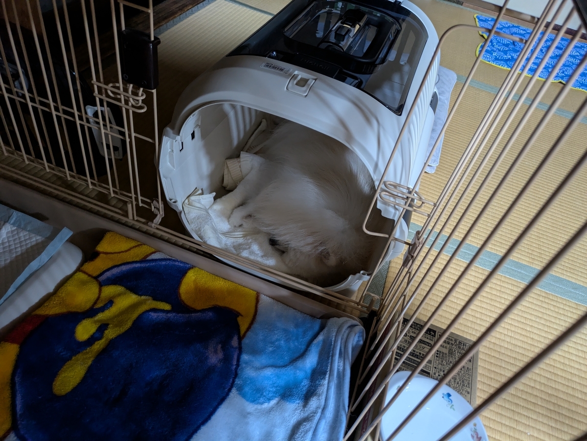 ポメ部屋の模様替え - keinaの家庭菜園ノート
