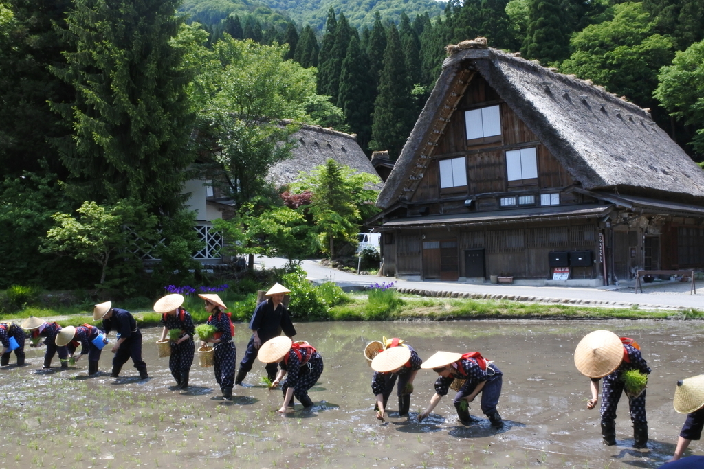 gifu - beautiful scenery in japan