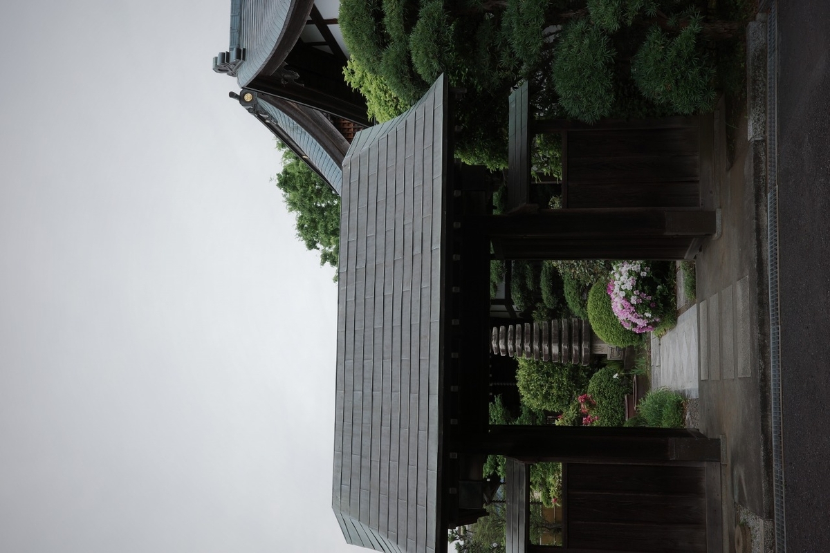 個別「20240821135833」の写真、画像 - Hatena Blog - The Photos