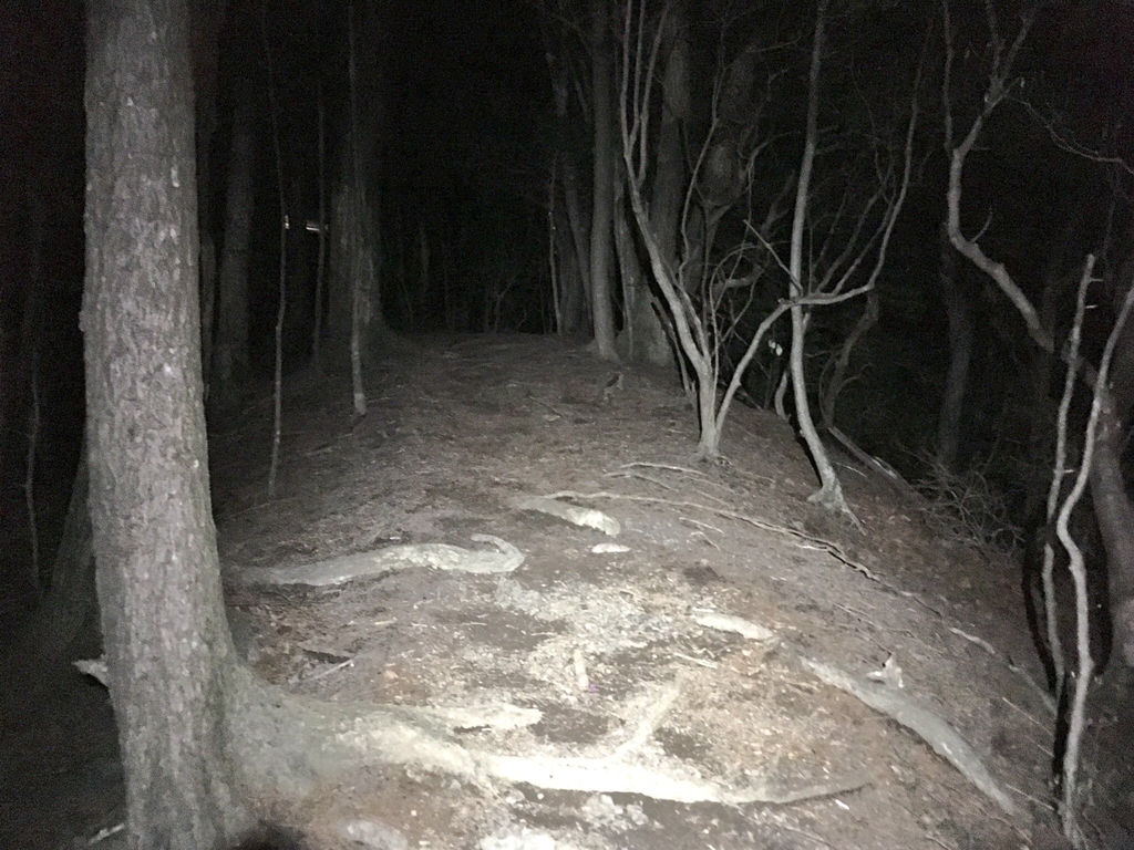 2018 UTMF STY (その4 A2麓～ゴール) - 関門と戦うブログ