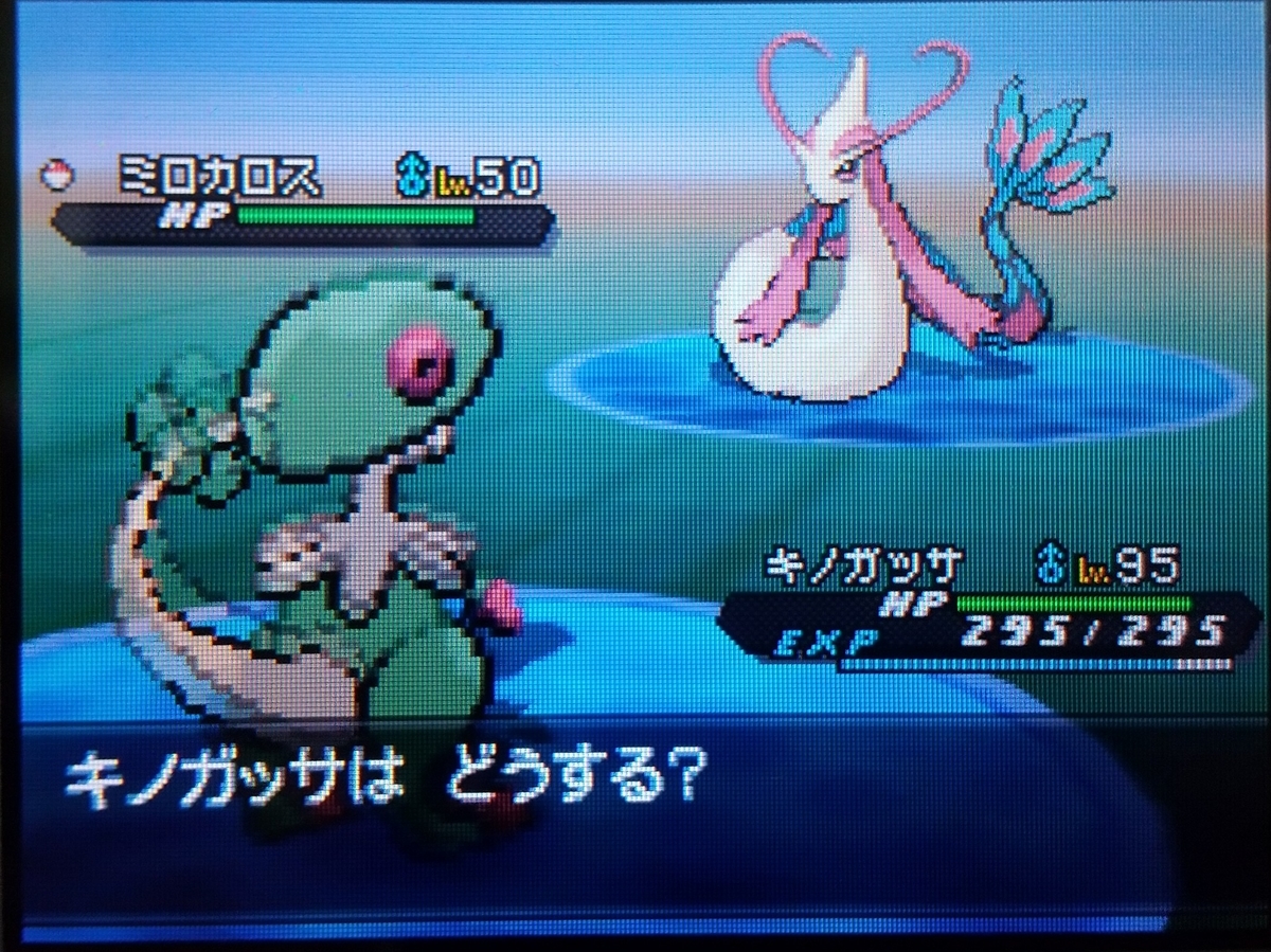 【BW2】揺れ草、土煙などの特殊エンカポケモンまとめ - Keyの色粘り