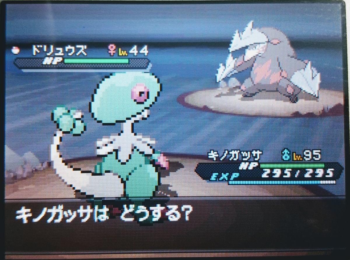 【BW2】揺れ草、土煙などの特殊エンカポケモンまとめ - Keyの色粘り