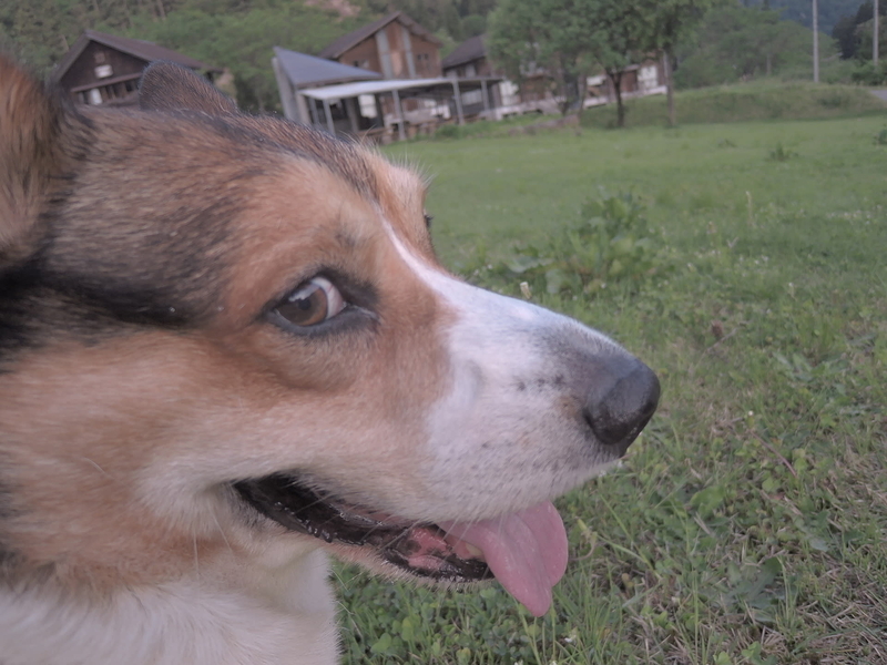 マックと何にもない爽やかな朝 - kicmac-time