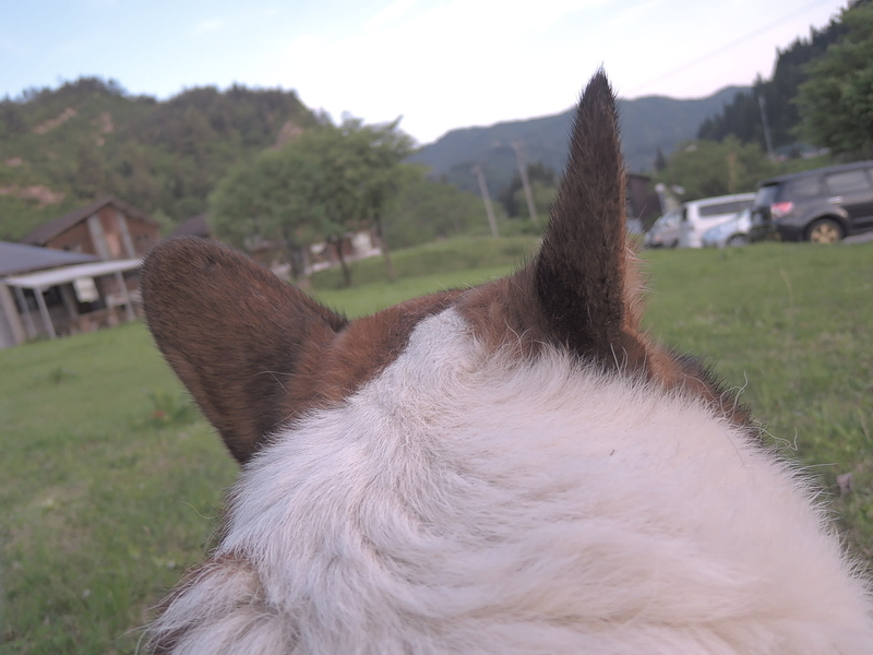 マックと何にもない爽やかな朝 - kicmac-time