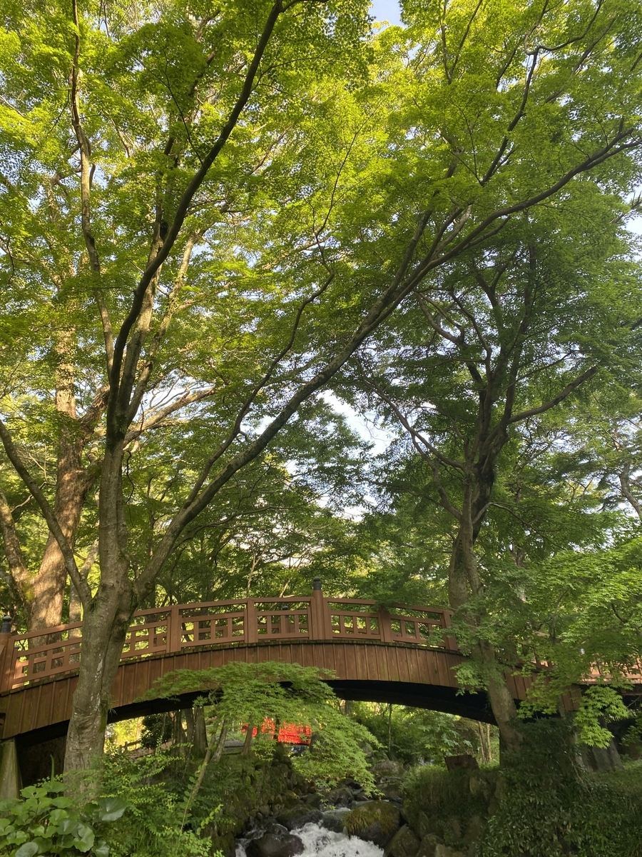 夏の特等席 - kimi-moon’s blog