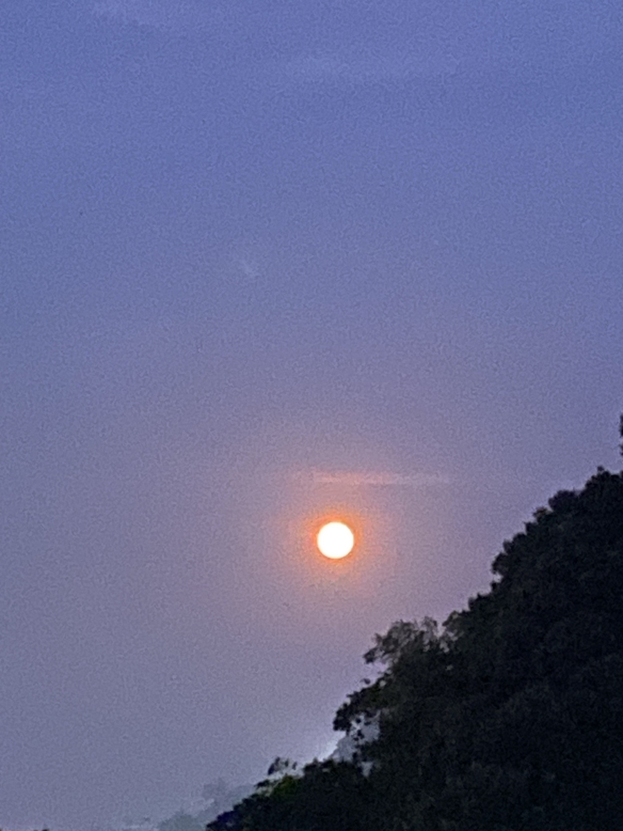 美しいもの - kimi-moon’s blog