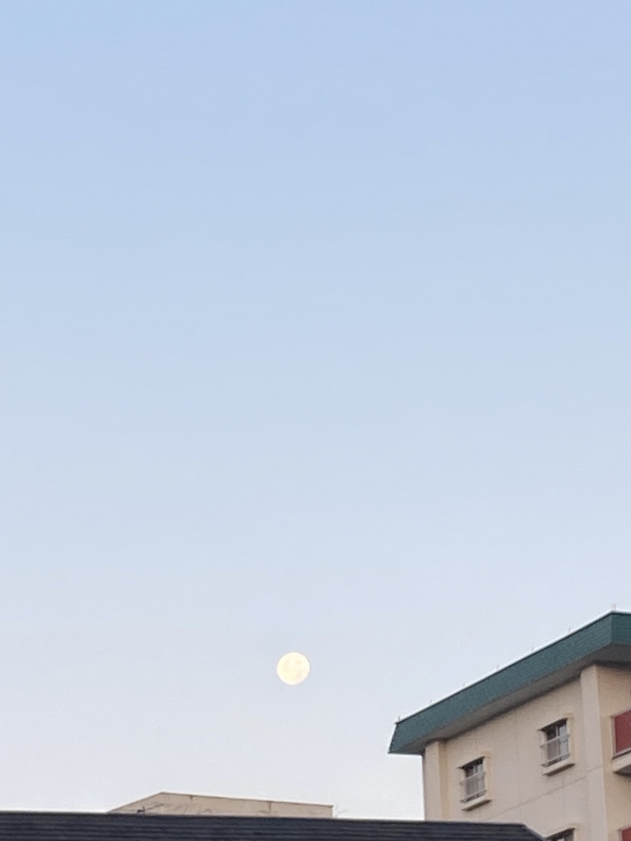 早朝の月 - kimi-moon’s blog