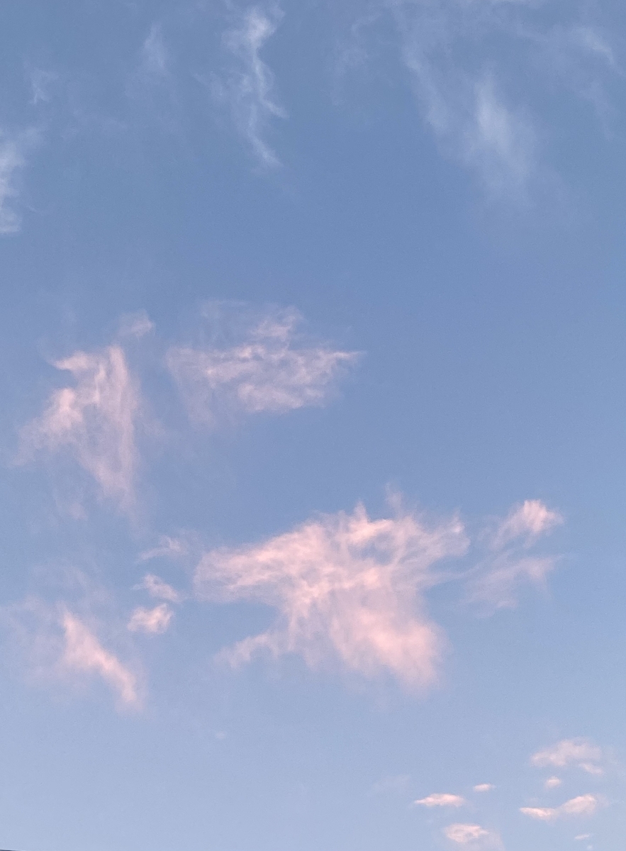 自分を守ること - kimi-moon’s blog