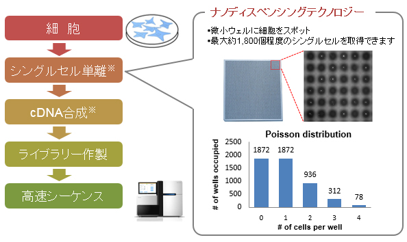 Single Cell RNA-seq解析で使用されるプロトコルのご紹介 - バイオインフォマティクス実践ラボ｜アメリエフ技術ブログ