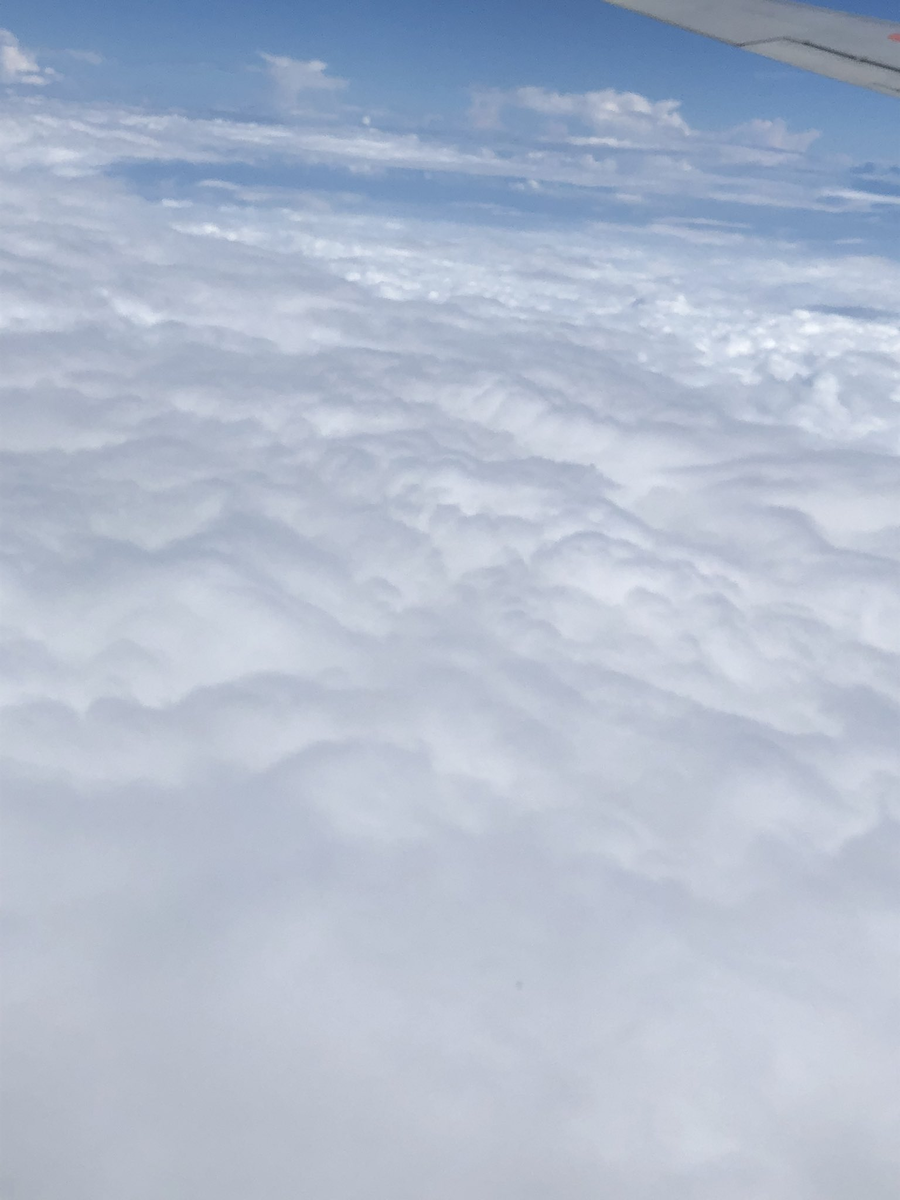 レイトレ合宿8に参加しました - MochiMochi3D