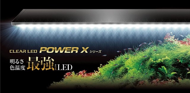【最新LEDテクノロジー採用】GEXクリアLED POWER X 600 明るさ1,400lm、色温度11,000K、超薄型アルミボディ、幅60cm水槽に最適！ - ひろきの素敵な日々… blog