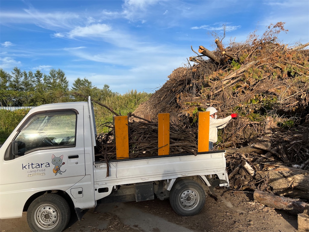 枝運び - キタラ キャンプフィールドの開拓日記