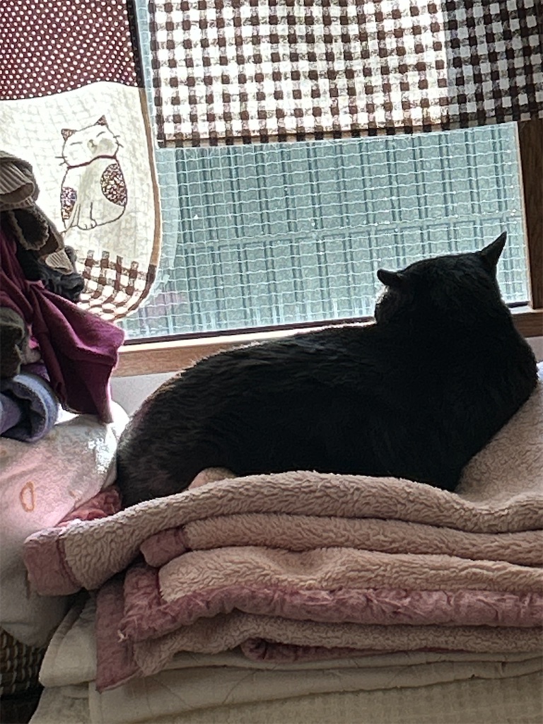 今日のご飯 調子が悪い日もある - kitinaの手抜きで美味しい料理ブログ