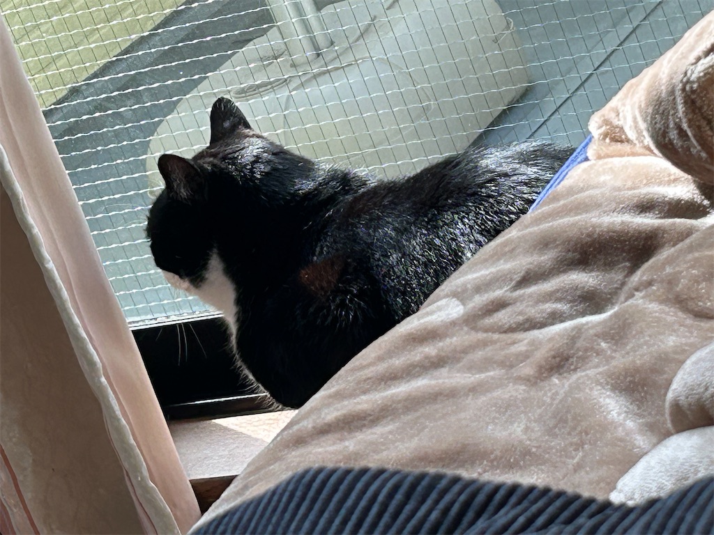 今日のご飯 調子が悪い日もある - kitinaの手抜きで美味しい料理ブログ