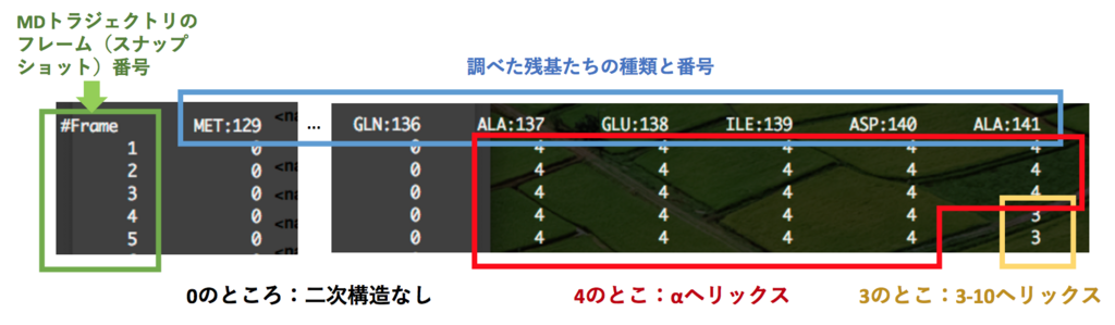 AmberのCPPTRAJで二次構造を調べる方法 - いつか博士になる人へ