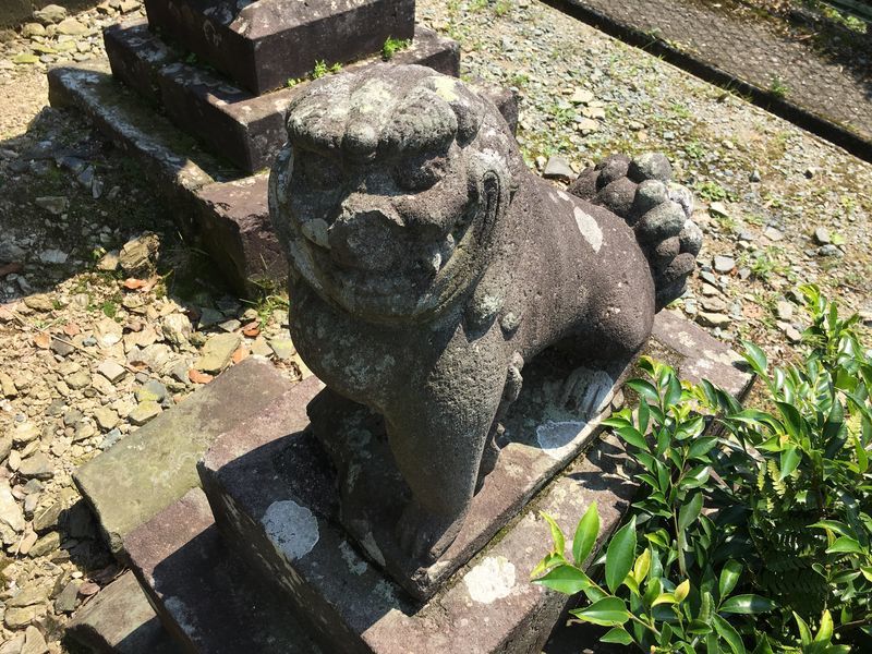 8月のお朔日参り - kittonの世界