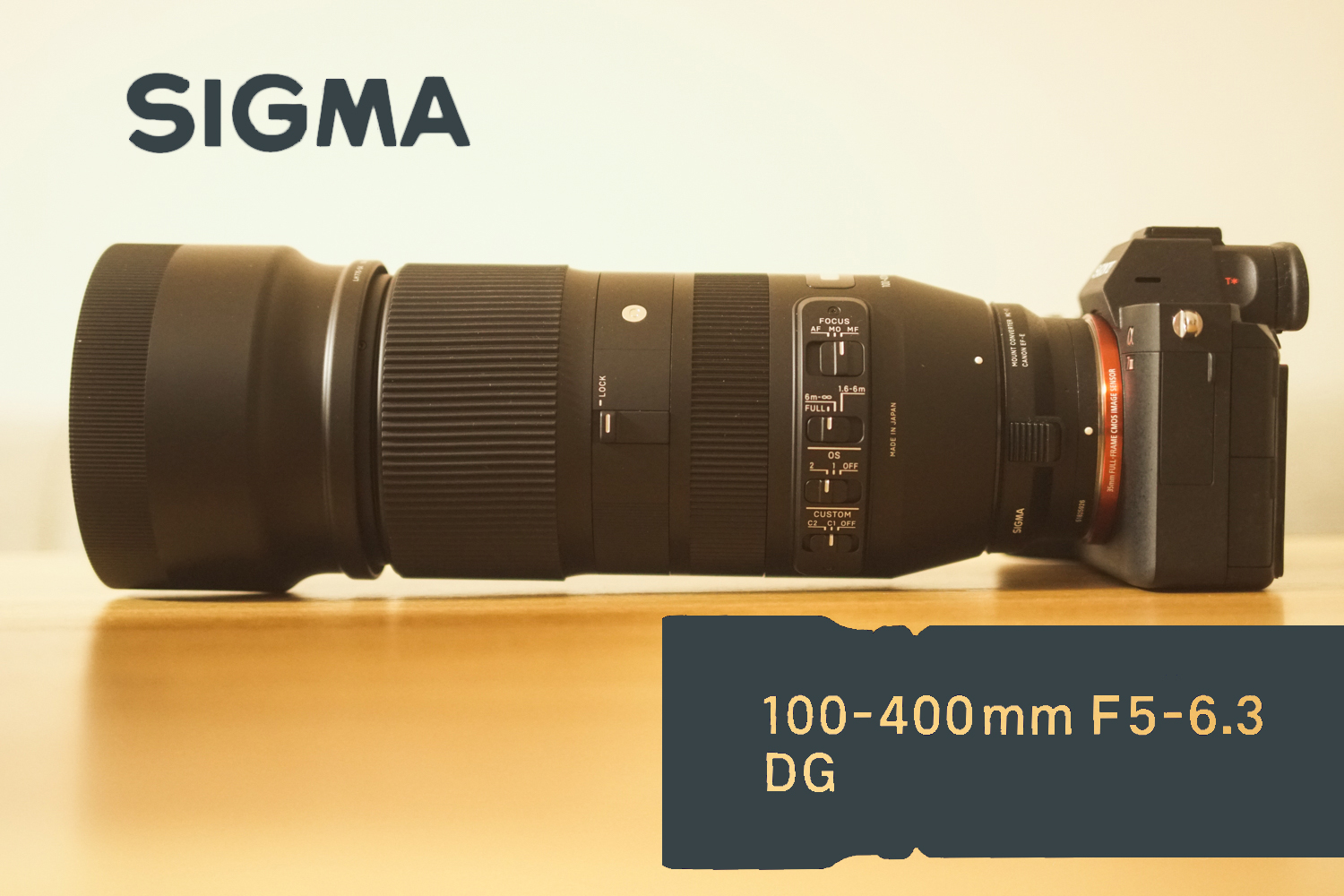 【SIGMA 100-400mm F5-6.3 DG OS HSM】 憧れの連鎖編 - きうまのふぉとらいふ