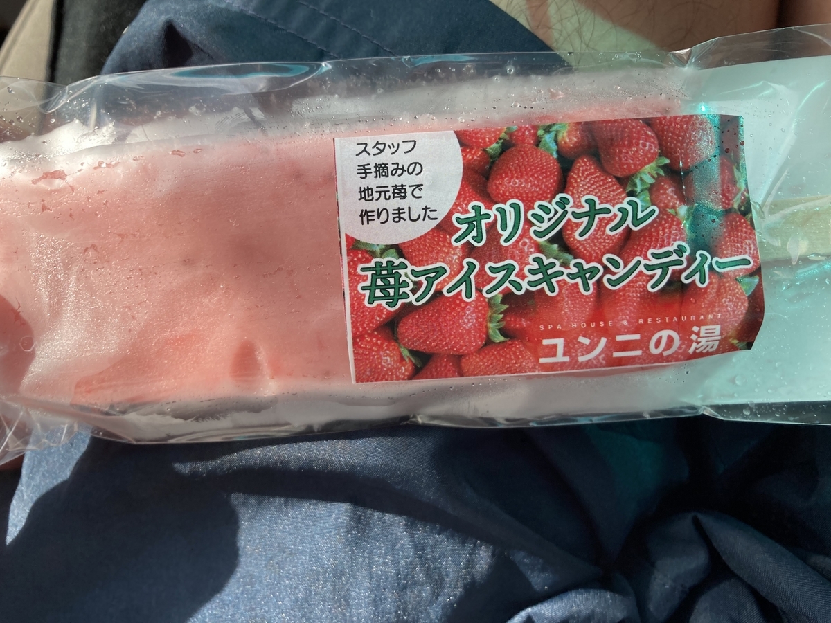 北大オリエンテーリング大会23DAY1 - 羊蹄・ニセコを走る、世界を走る？2