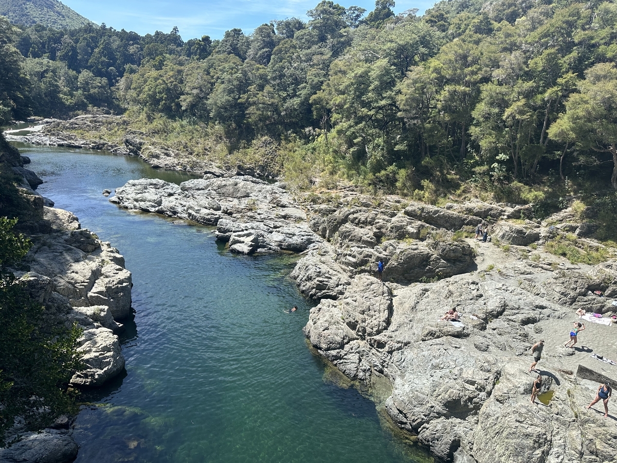 テアラロア 72日目 Captains Creek HutからPelorus Bridge Campground(Tatora Flats ...