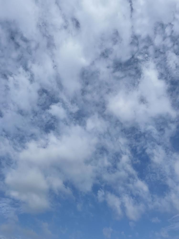 お弁当 - koara-55’s diary