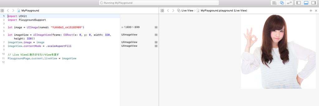 XcodeのPlaygroundで画像を読み込みUIImageViewで表示するまで - 名前はまだない。