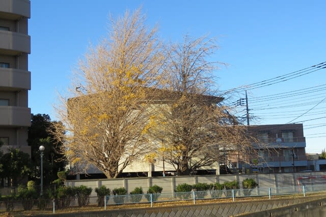 冬将軍到来 - Kobby loves 埼玉＆レッズ