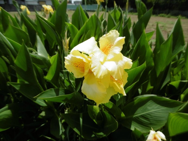 大宮戦プレビュー - Kobby loves 埼玉＆レッズ