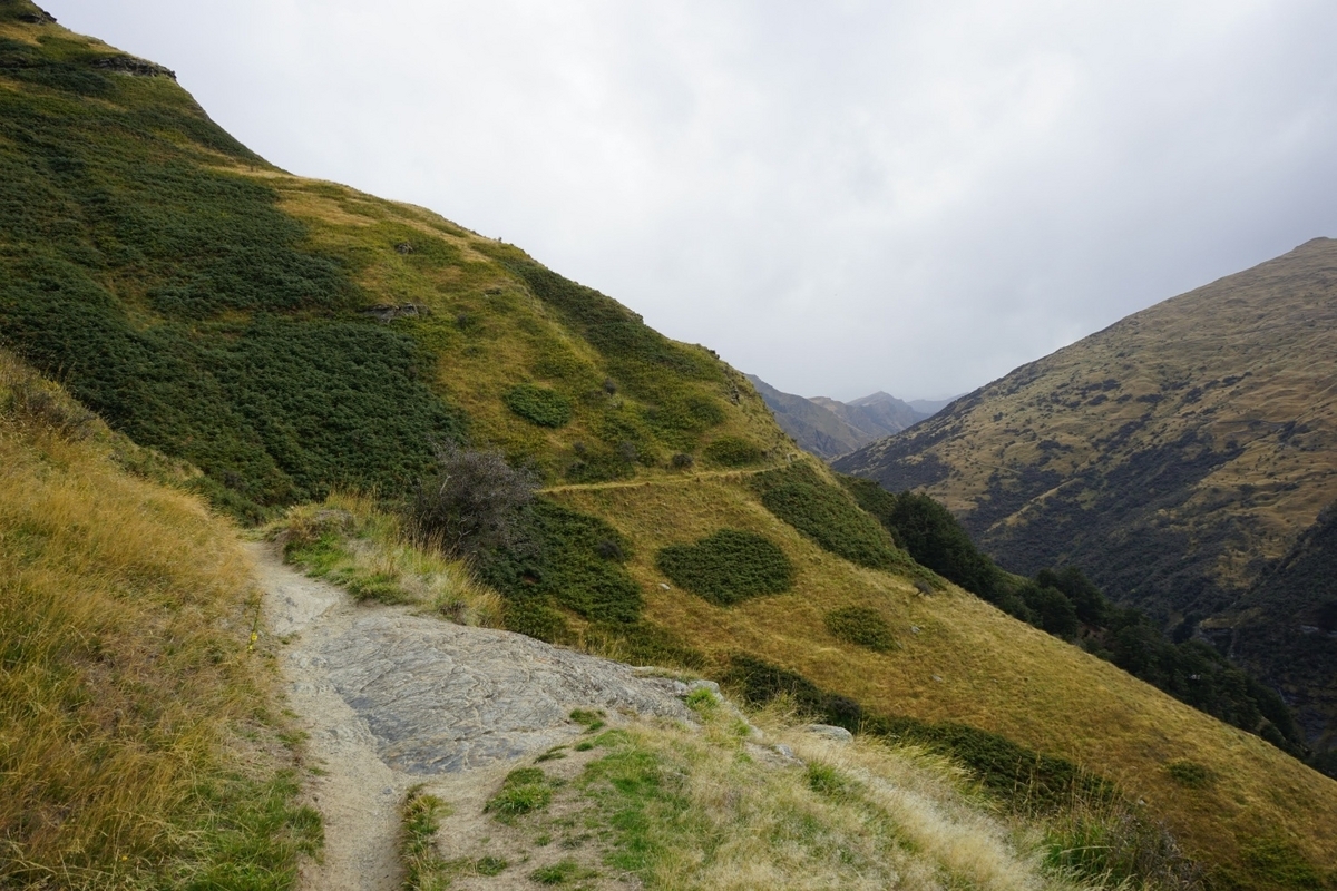 2023/05 絶景を楽しむニュージーランド日帰りトレッキング~Moonlight Track~ - たびのき