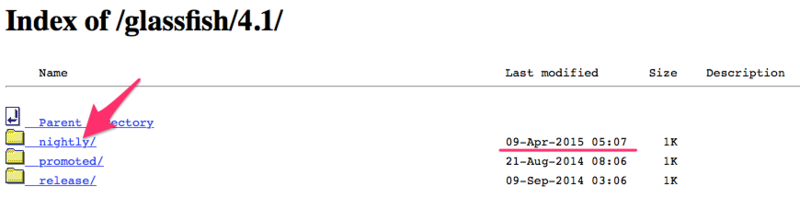 NetBeansにNightly BuildのGlassFishを認識させる - いつブロ