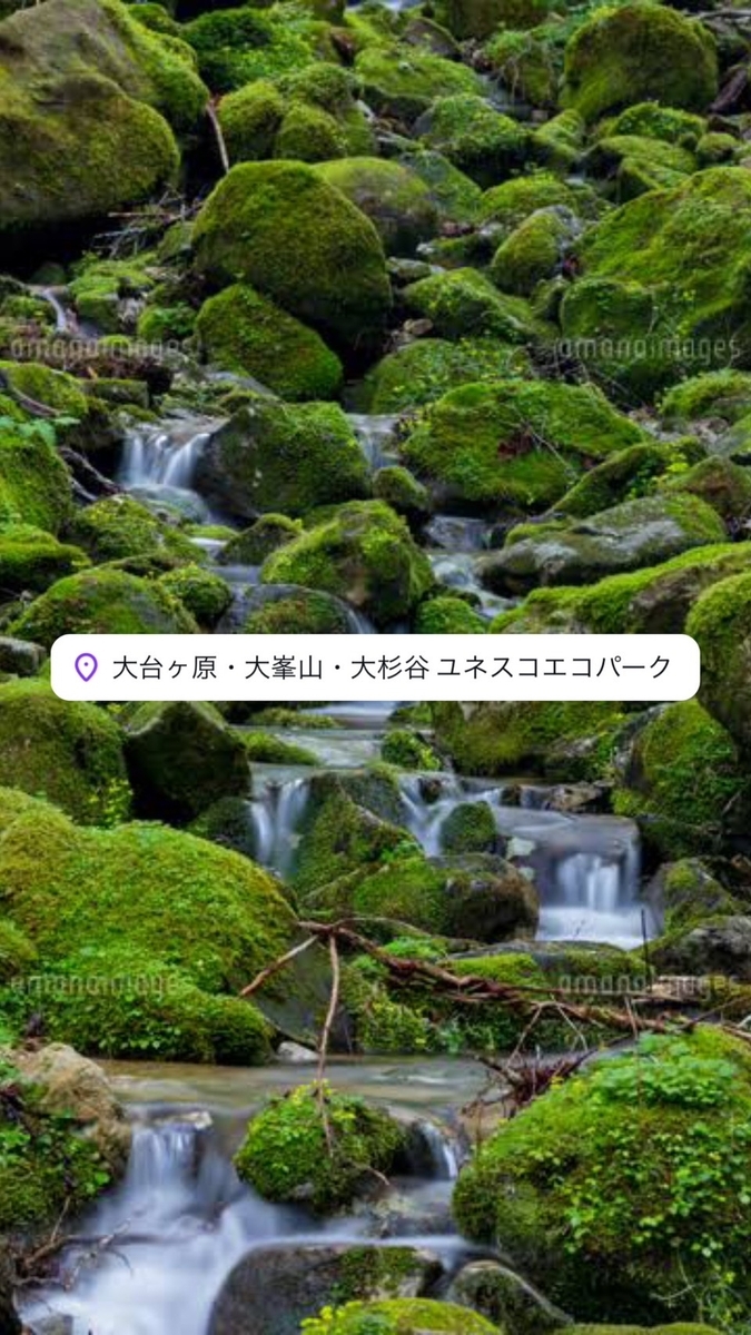 【奈良苔活】大台ケ原は、奈良県と三重県の県境に位置する標高1,695メートルの山で、日本百名山にも選ばれています。また、雨が多い地域であるため、苔やキノコが豊富に生息しており、自然観察にも最適 ...