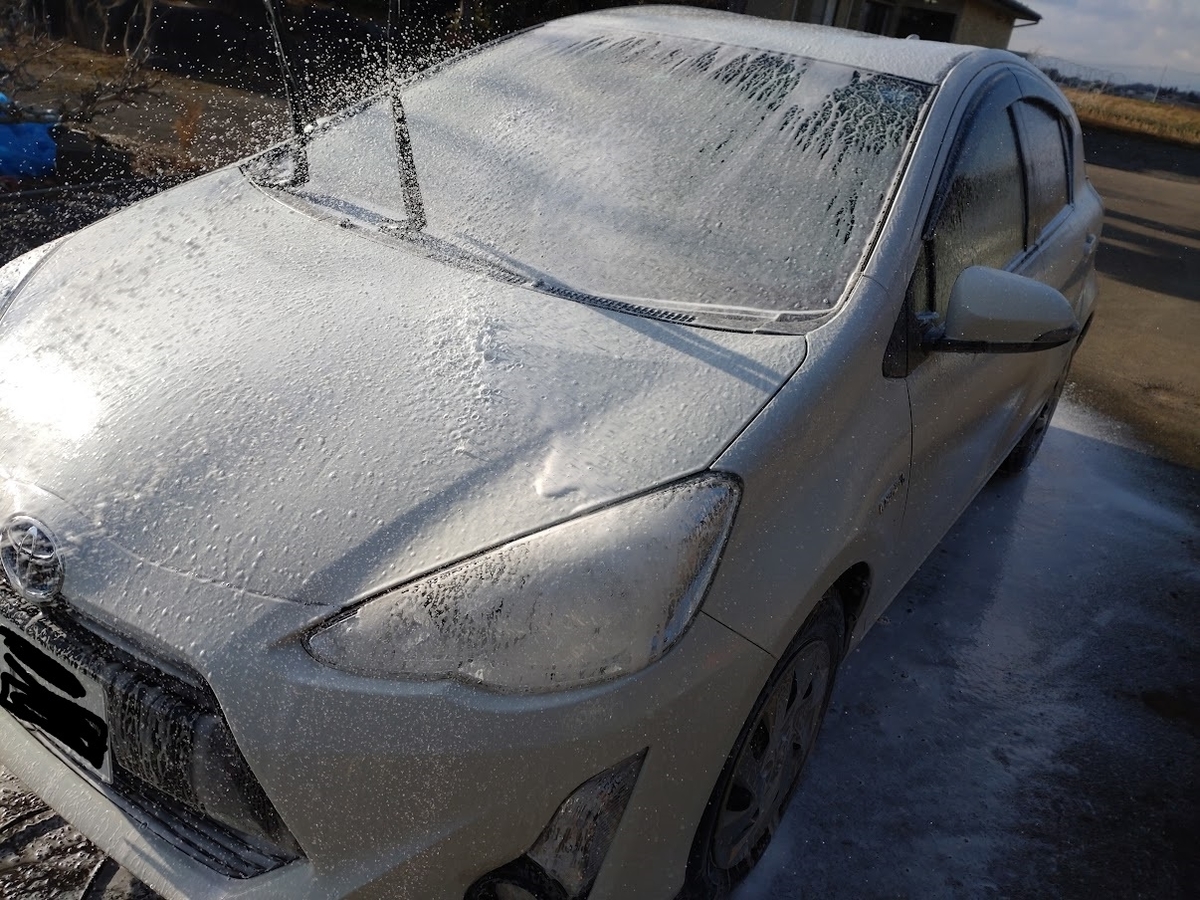 ここ掘れちんたろう！