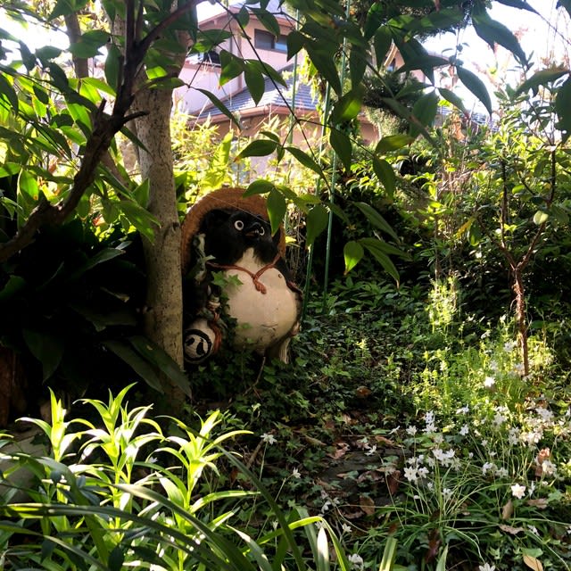 コロボックルの庭 - 宝島のチュー太郎