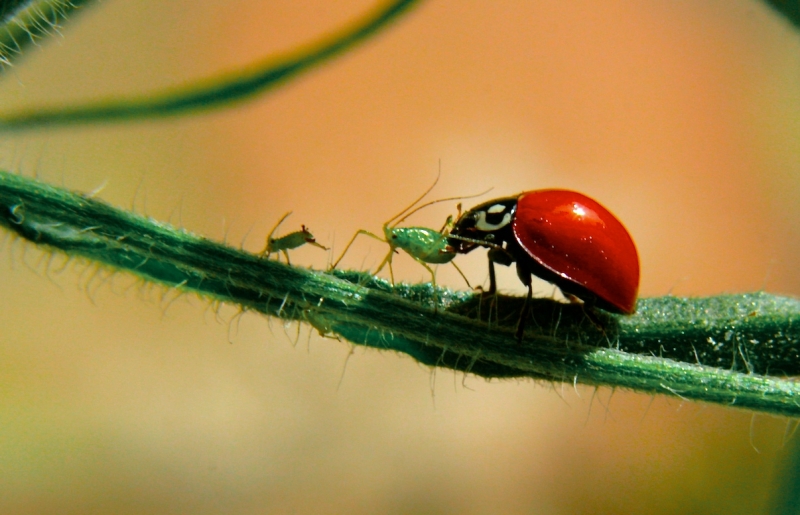 Part 3-1 - korolemon’s blog