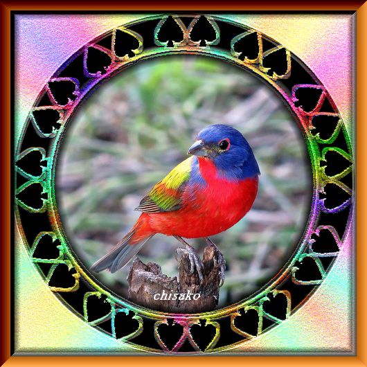 あずま野老大の芸能発表・12/6 JTrim枠の復習 - チーコホーム