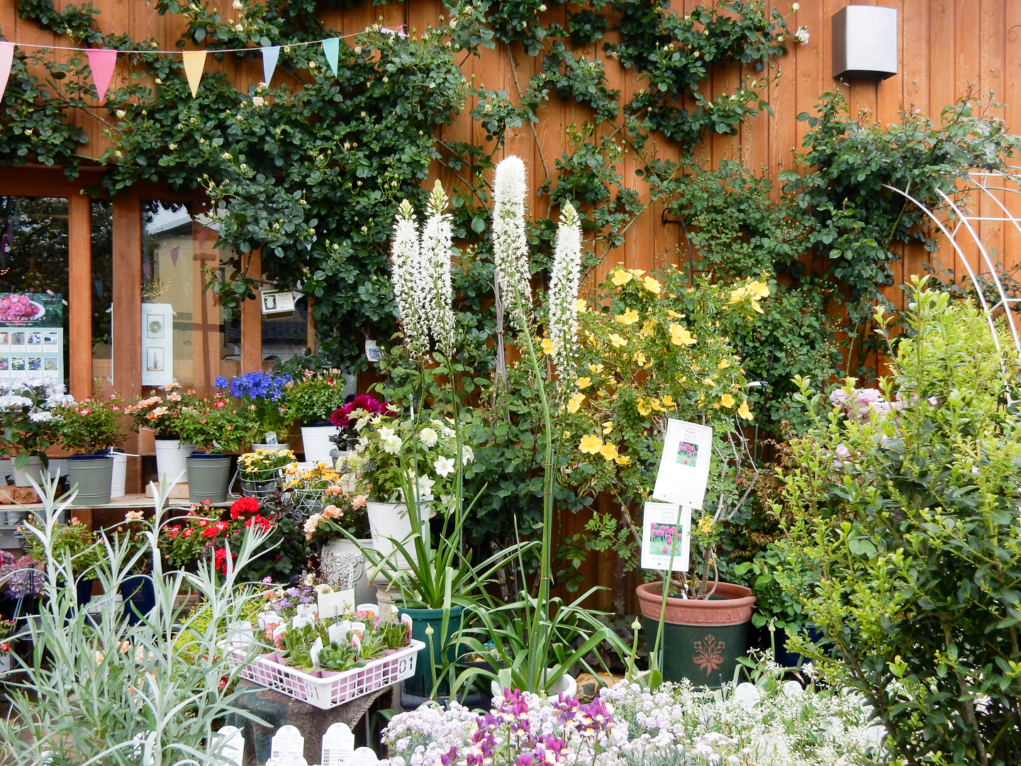 後藤みどりさんのショップ、山梨県のROSA VERTEに行ってきた - kotaの雑記帳