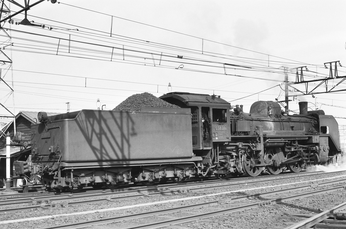 八王子機関区のD51とC58 - お安く気軽にゆるっと16番