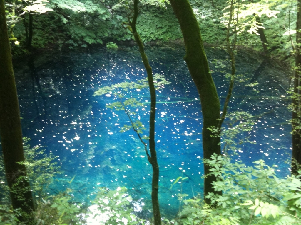 Lake Juniko, crystal clear water with mystical natural beauty - Japan ...