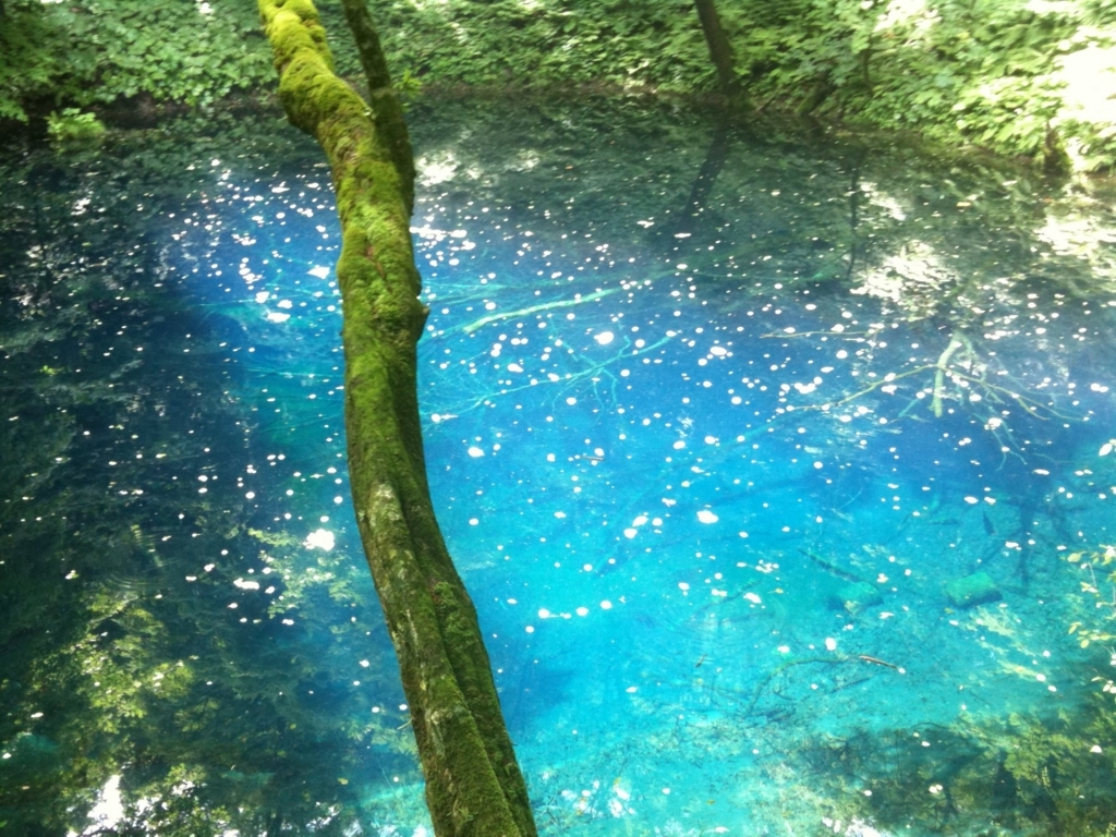 Lake Juniko, crystal clear water with mystical natural beauty - Japan ...