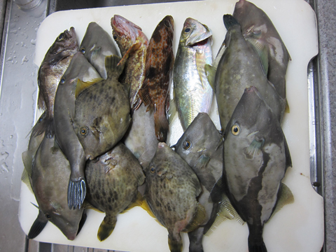 個別「20161120184526」の写真、画像 - kotob's fotolife